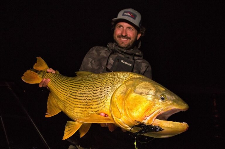 Golden Dorado - consideraciones para la pesca deportiva - NOVE OUTDOORS