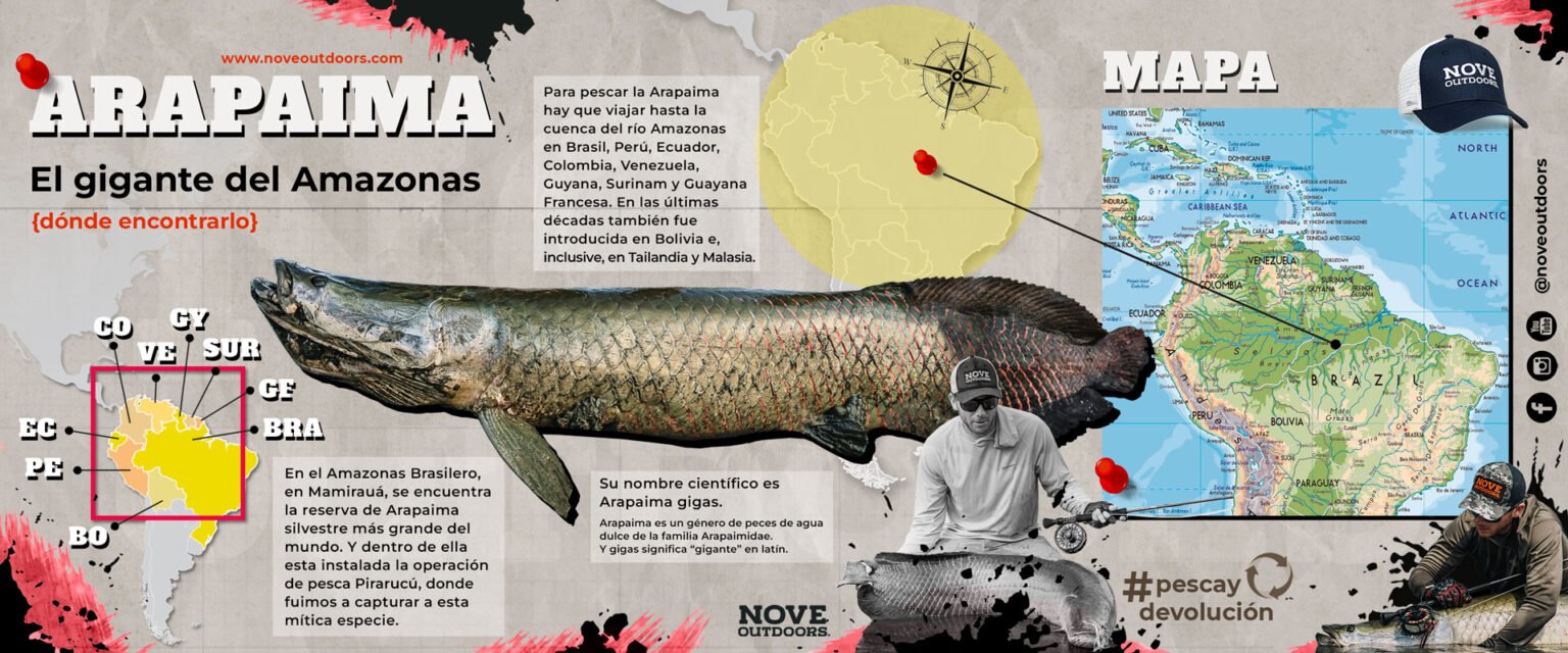 Arapaima, el gigante del Amazonas - NOVE OUTDOORS