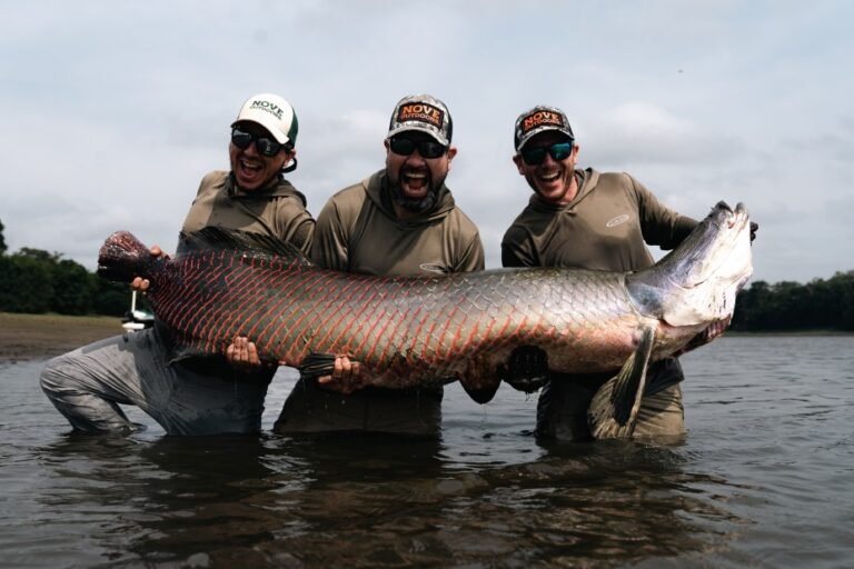 Arapaima, el gigante del Amazonas - Nove Outdoors